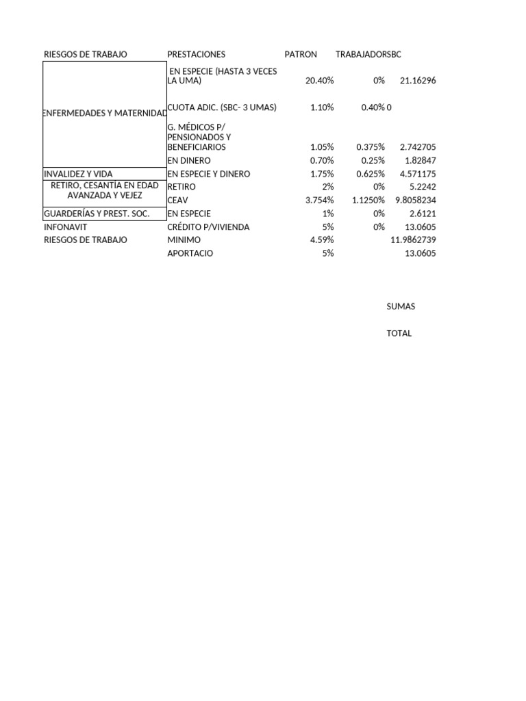 Calculo Imss Nataly | PDF