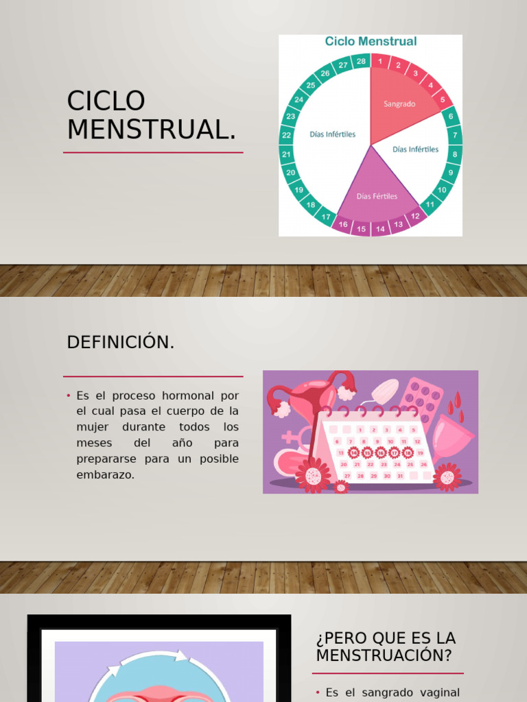 Ciclo Menstrual | PDF