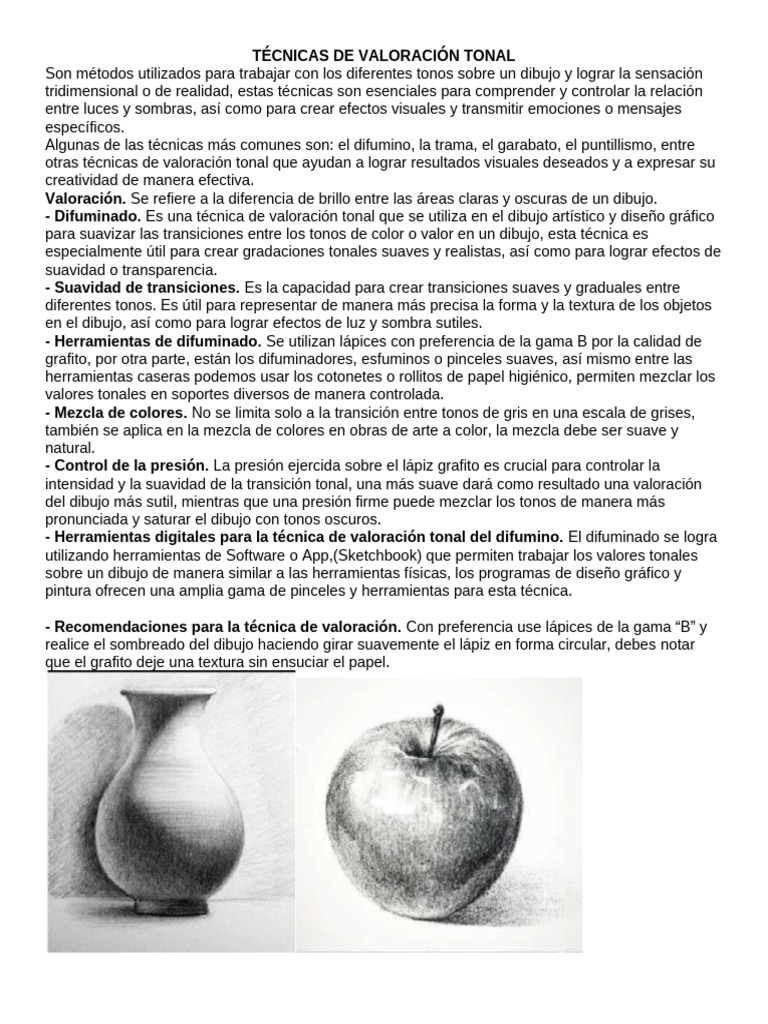 Técnicas de Valoración Tonal en Dibujo | PDF | Dibujo | Lápiz