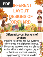 Module 4 Preparing Layout Design For Orchard | PDF | Rectangle | Orchard