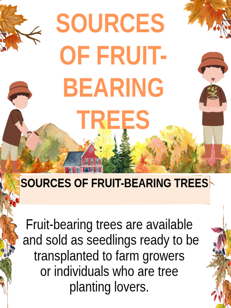 G6Q1 WEEK 3 TLE - AGRICULTURE - d3 - Sources of Trees | PDF ...