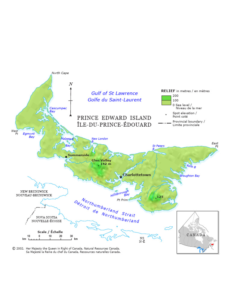 Pei Relief | PDF