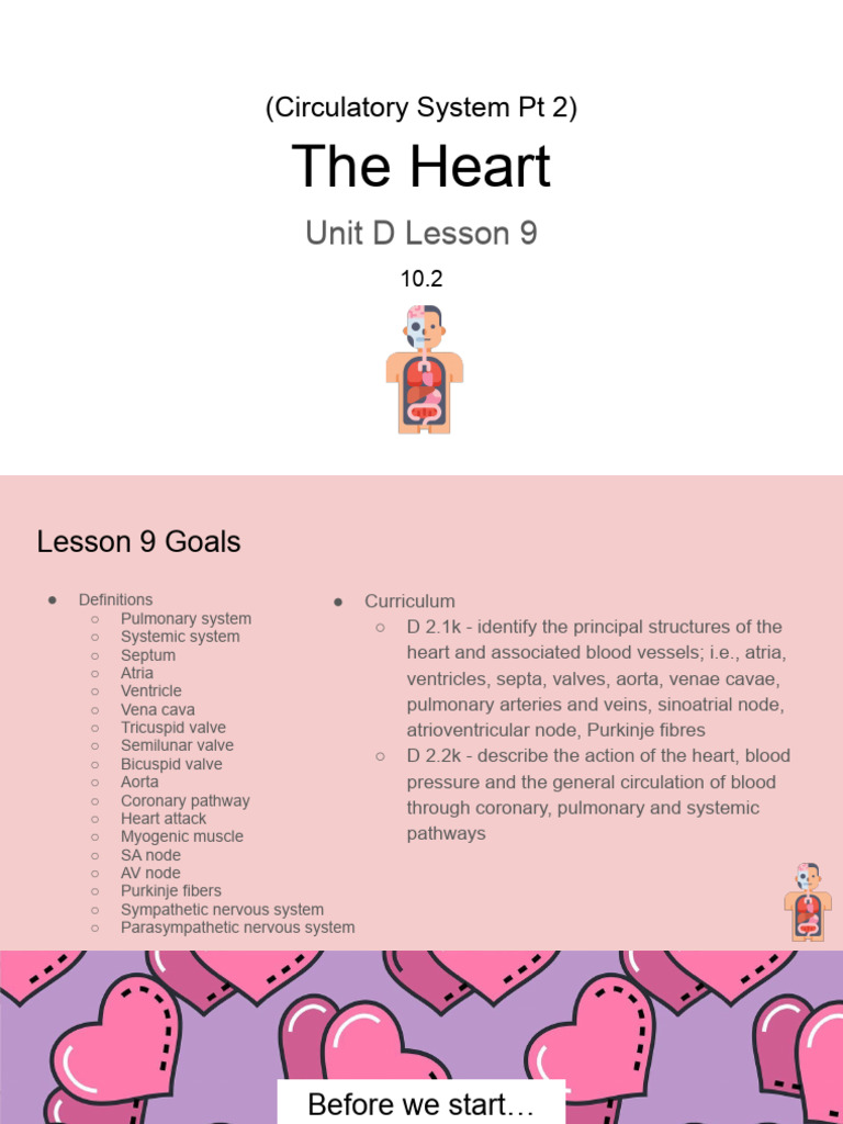 Lesson 9 Circulatory System PT 2 The Heart | PDF | Heart | Heart Valve
