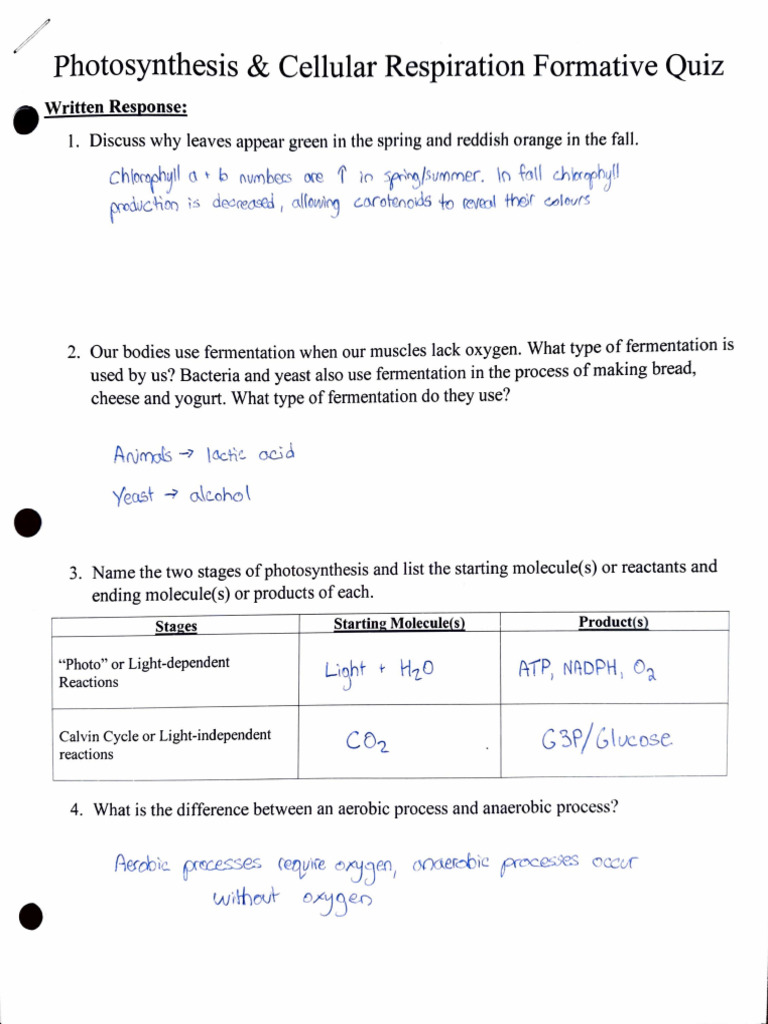 Practice Questions KEY | PDF | Cell Biology | Metabolism