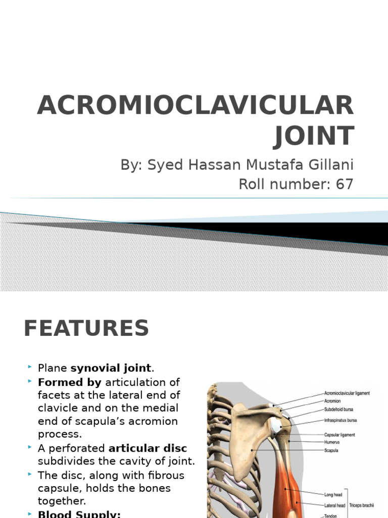 Acromioclavicular Joint | PDF | Shoulder | Musculoskeletal System