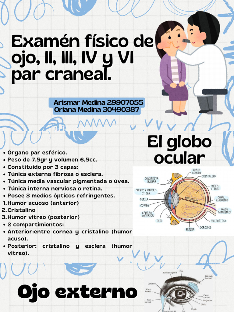 Examen físico del ojo y nervios craneales | PDF | Ojo humano ...