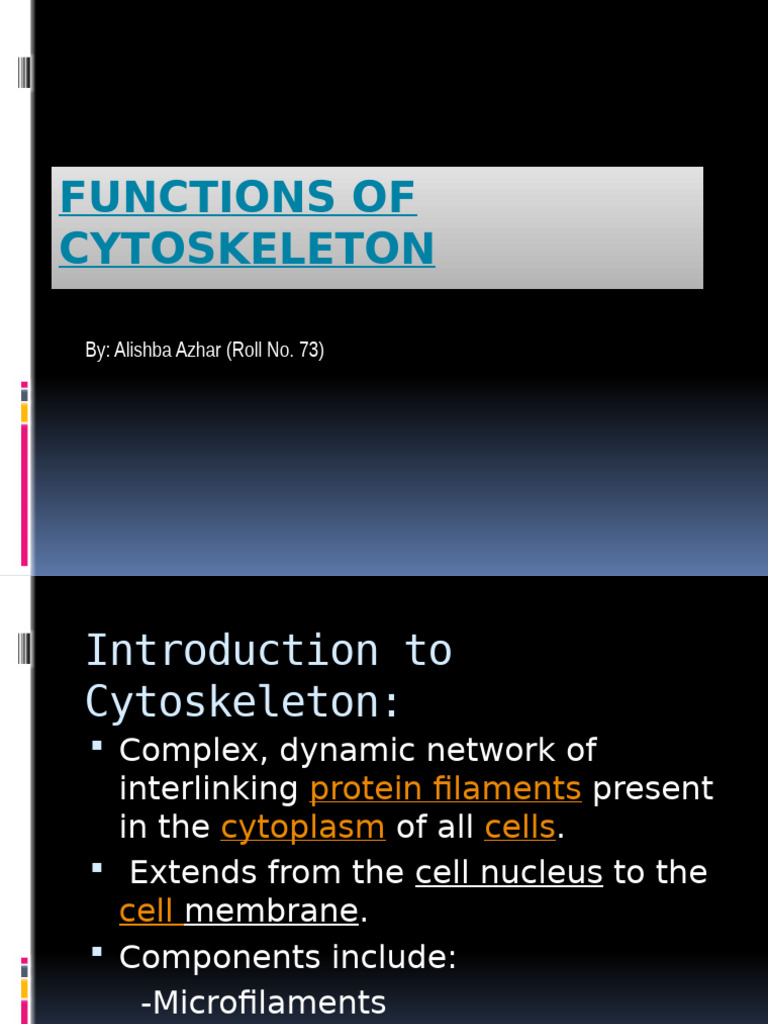Cytoskeleton: Structure & Function | PDF