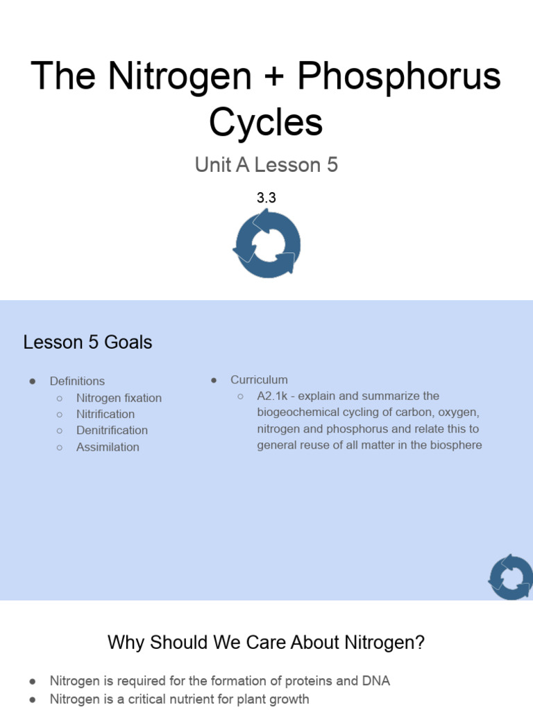 Lesson 5 Nitrogen and Phosphorus Cycles | PDF | Nitrogen | Plant Nutrition
