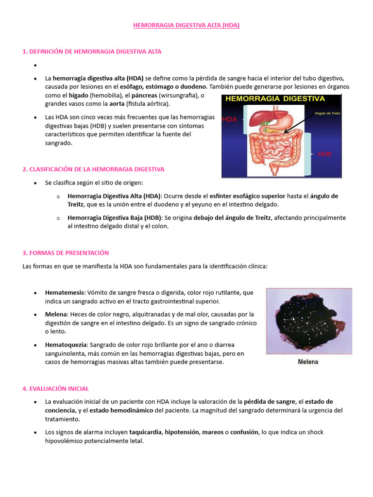 HEMORRAGIA DIGESTIVA ALTA Resumen | PDF | Digestión | Tracto ...