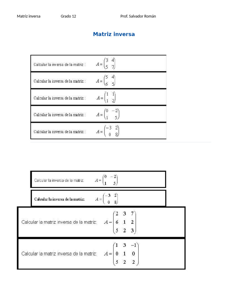 Matriz inversa | PDF