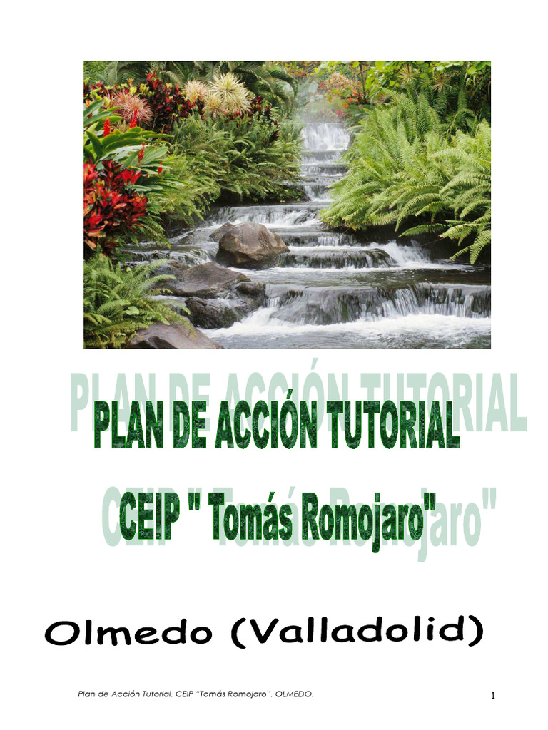 Ejemplo PLAN ACCIÓNTUTORIAL TOMAS ROMOJARO | PDF | Educación primaria | Aprendizaje