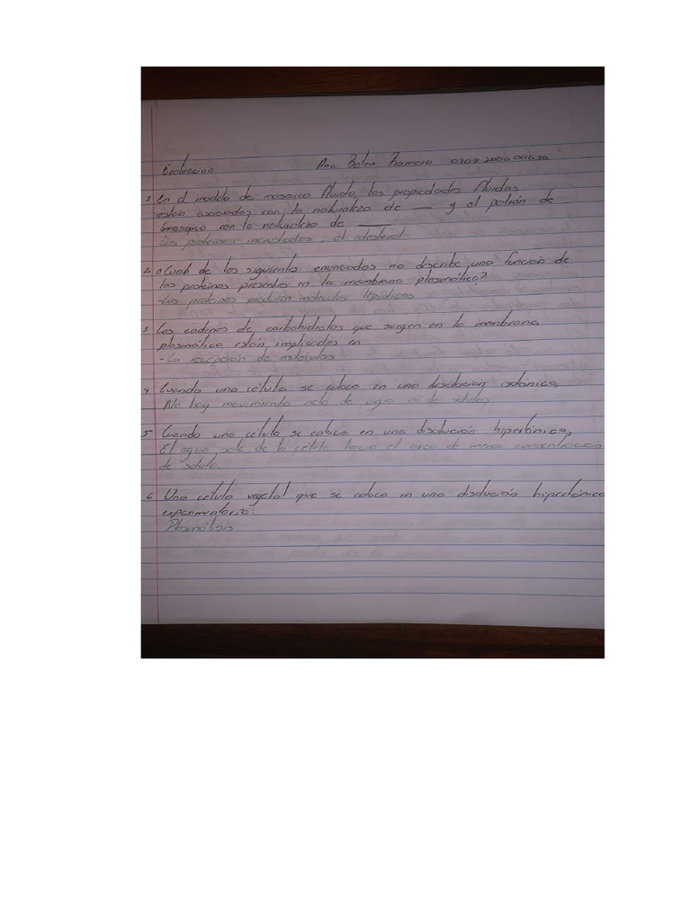 Guia Capitulo 5 | PDF