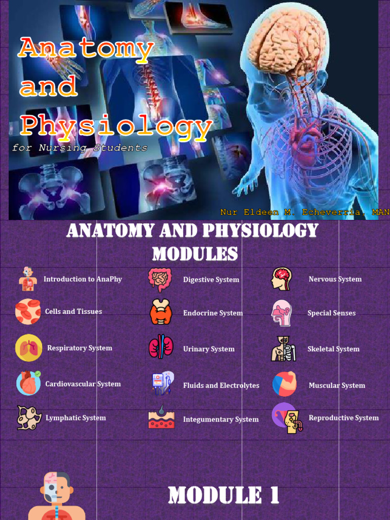 Module 1 Introduction To Anaphy 2 | PDF | Human Body | Anatomical Terms Of Location