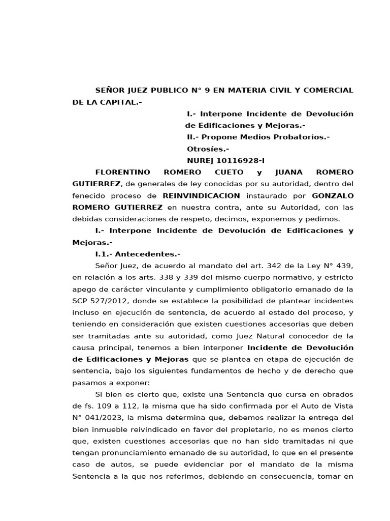 Incidente de Edificacion y Mejoras Juana Romero | PDF | Demanda judicial | Debido al proceso