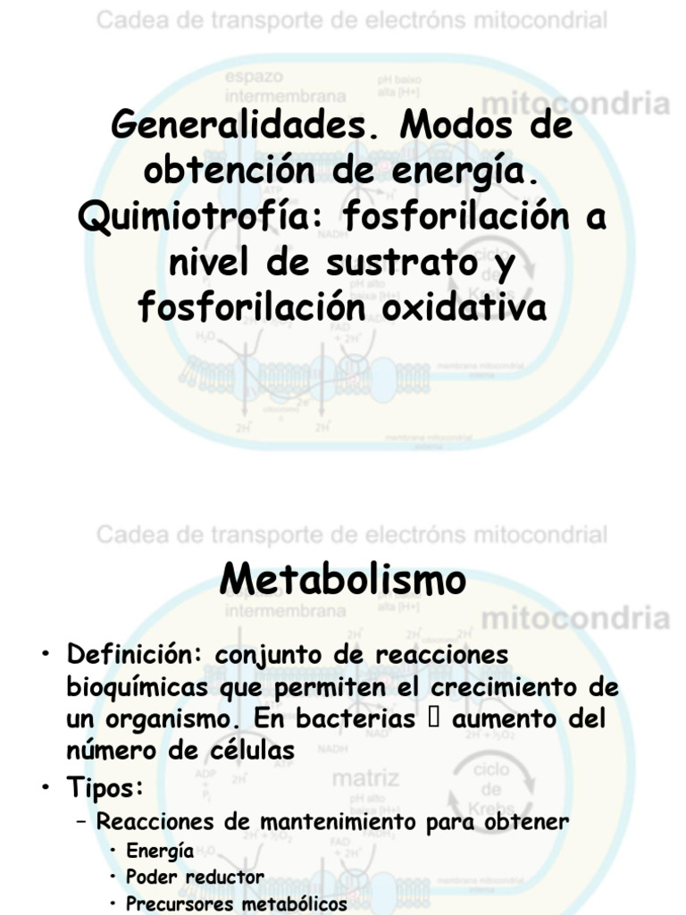 Generalidades de Obtenci-N de Energ-A | PDF | Trifosfato de adenosina | Fosforilación