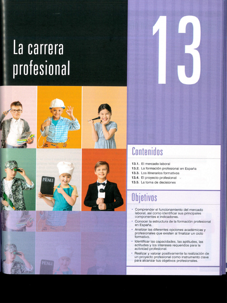 La Carrera Profesional | PDF