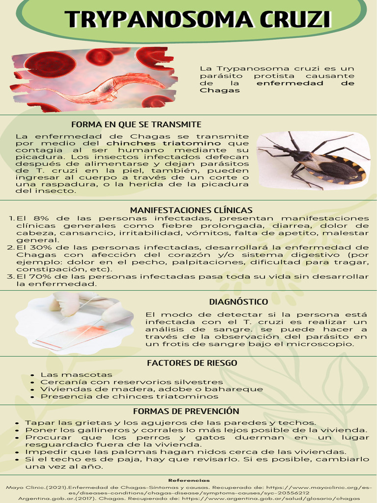 Chagas: Diagnóstico, Transmisión y Prevención | PDF | Enfermedades ...