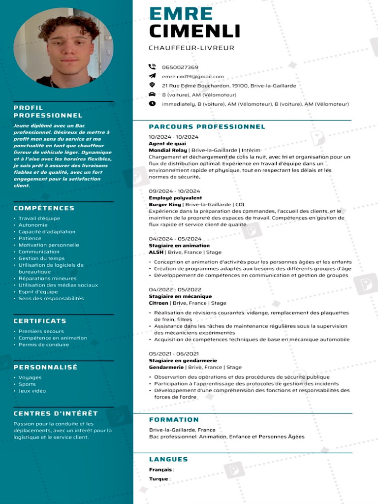CV Emre Chauffeur Livreur | PDF