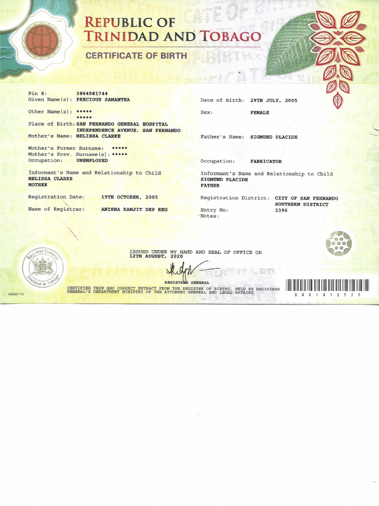 Birth Paper | PDF
