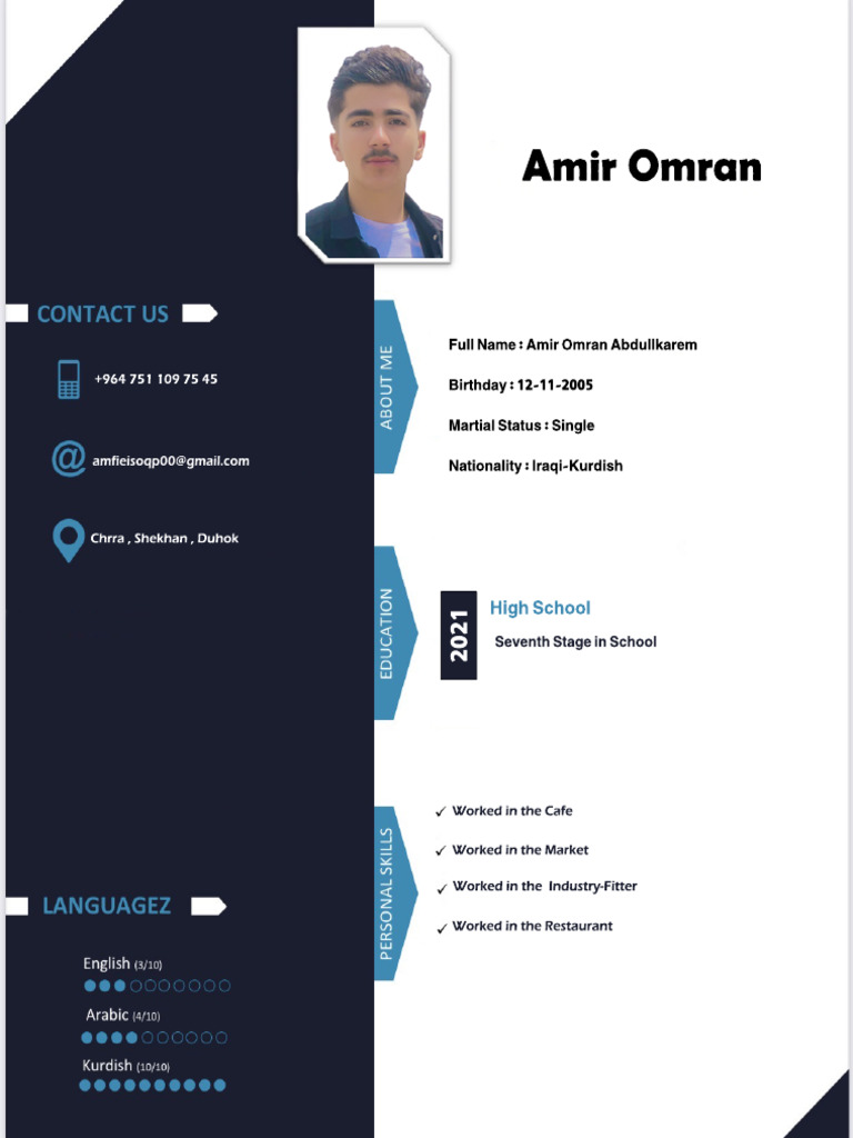 Amir CV | PDF