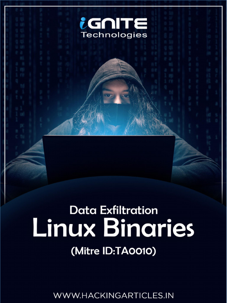 Linux Binaries For Beginners | PDF | Port (Computer Networking) | Computer File