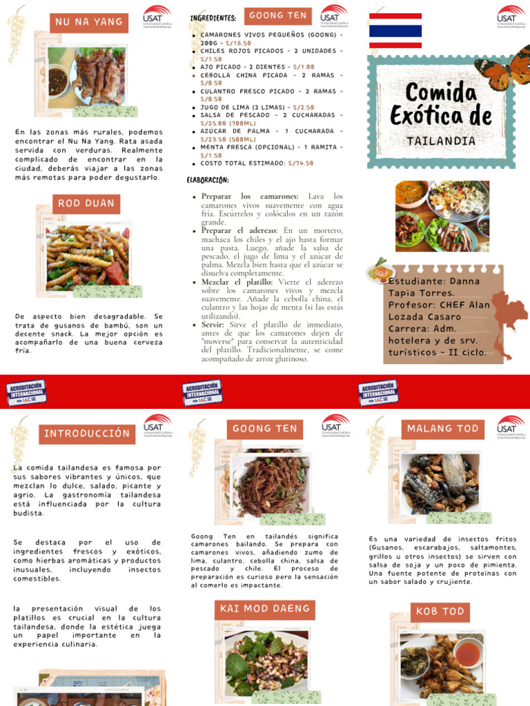 Folleto Tríptico Itinerario de Viaje Collage Beige | PDF | Cilantro | Salsa