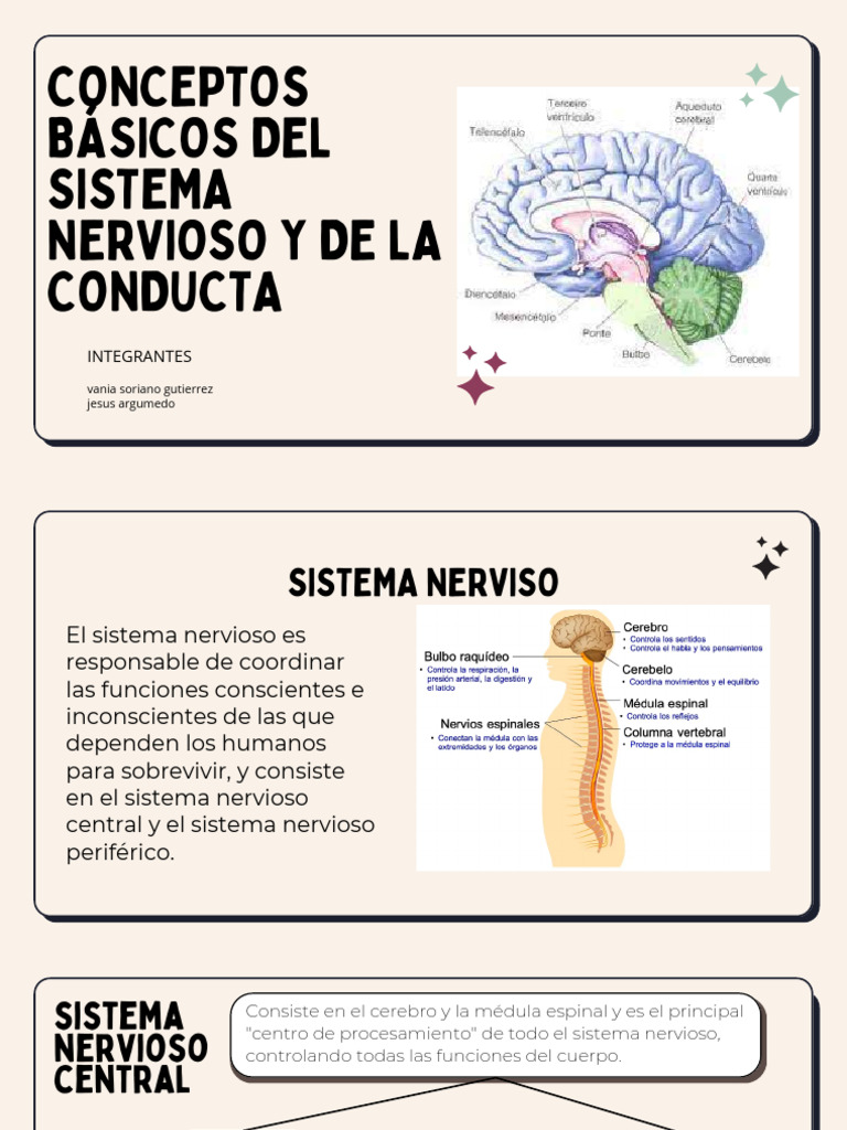 Conceptos Básicos Del Sistema Nervioso y de La Conducta | PDF | Autosuperación
