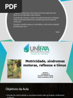 Síndrome do Primeiro Neurônio Motor | PDF | Sistema nervoso | Doenças e ...