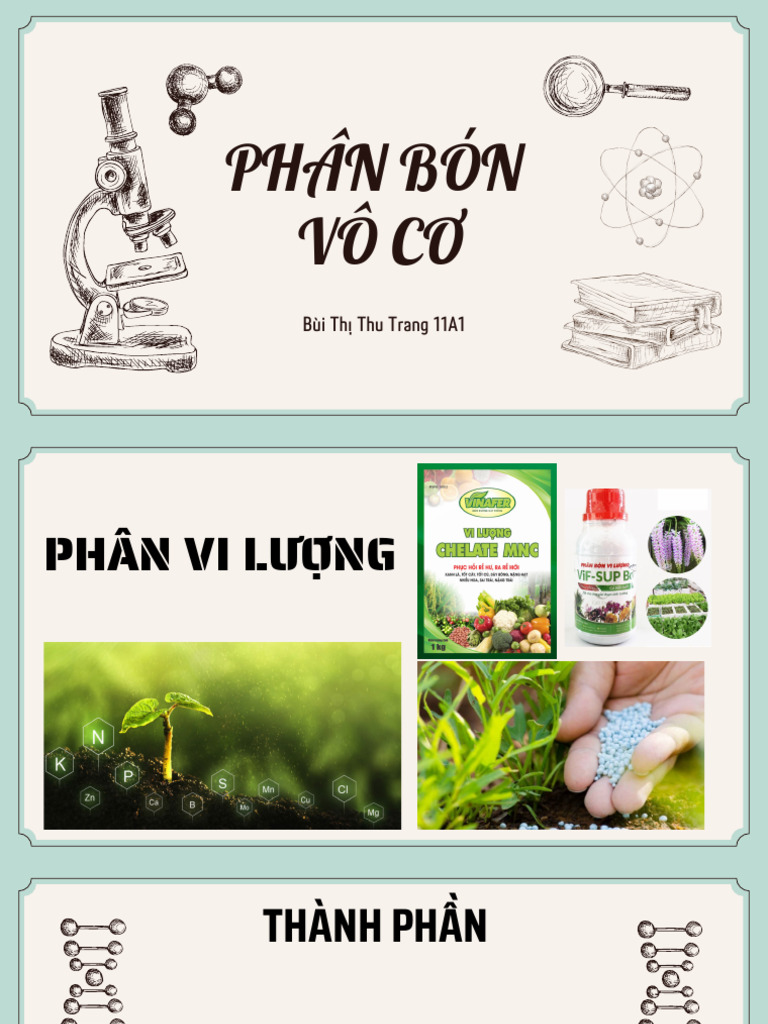 Cream and Green Illustrative Science Project Presentation | PDF