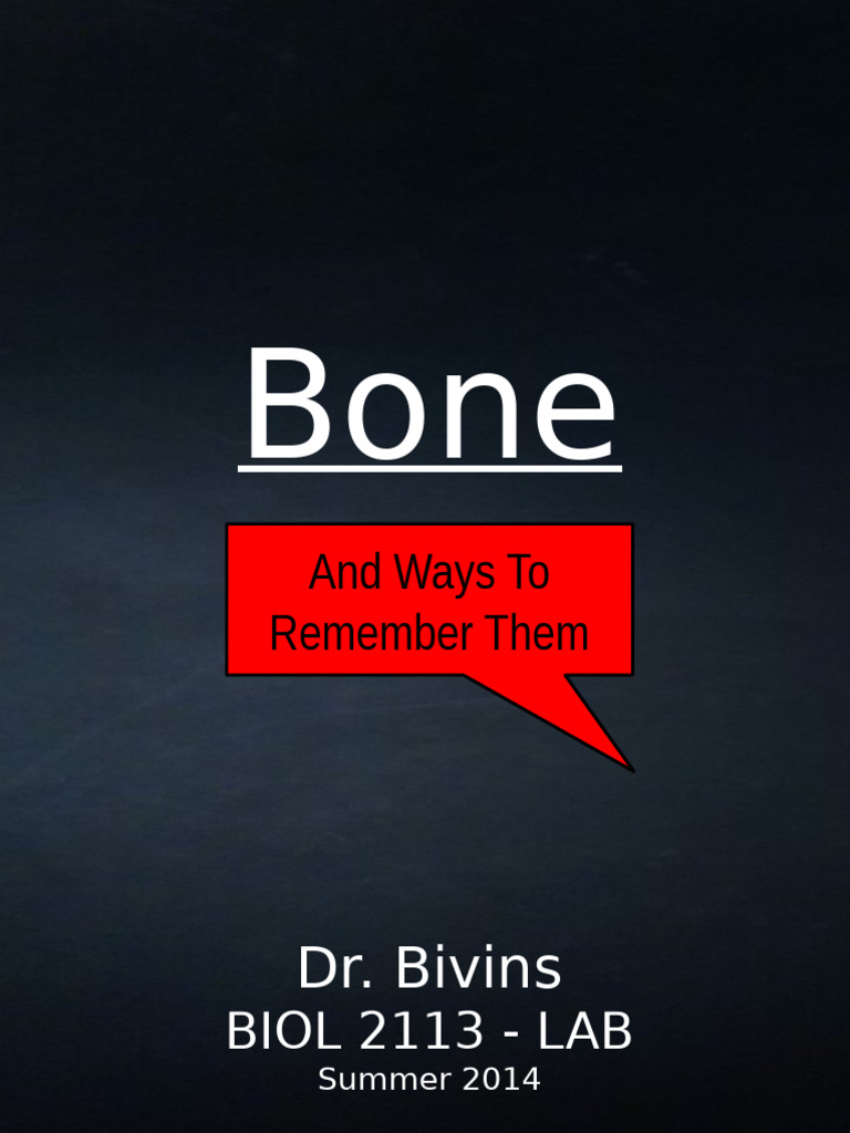 AP 1 Bones - Blank For Labeling | PDF | Vertebra | Vertebral Column