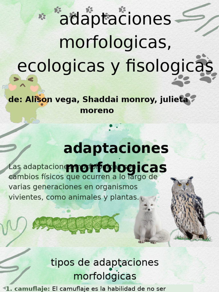 Adaptacion en Animales | PDF | Adaptación | Camuflaje