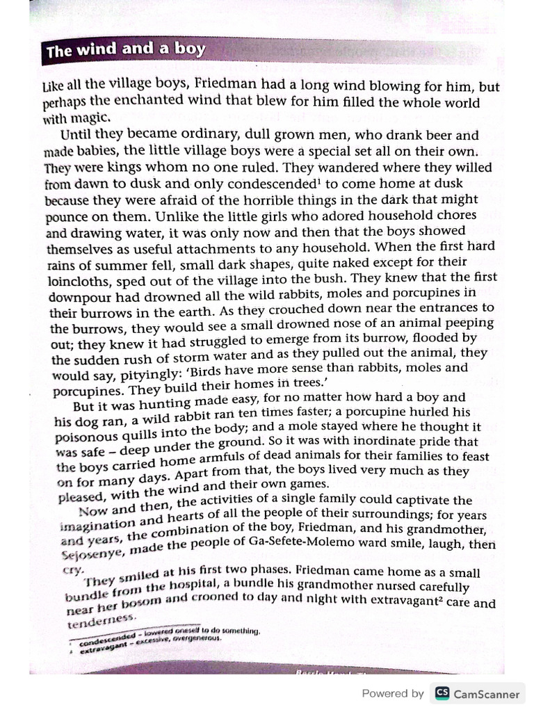 The Wind and The Boy | PDF