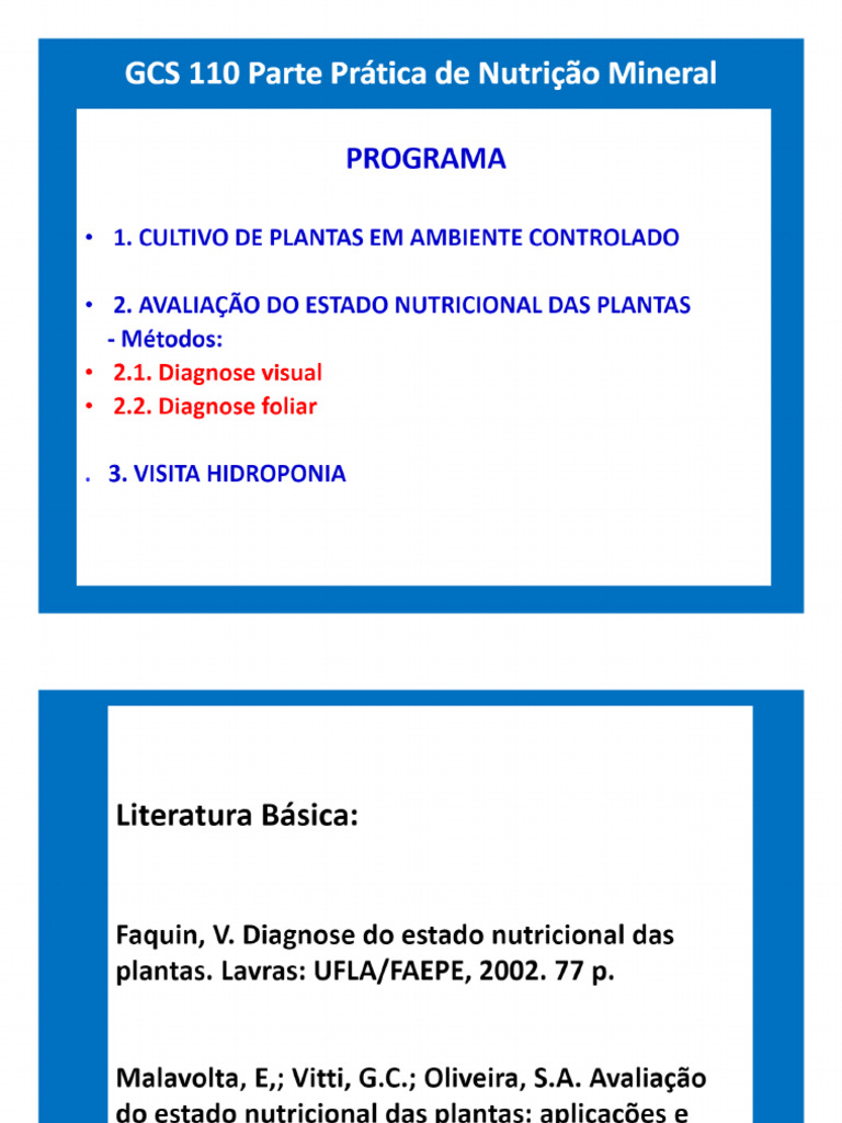 GCS 110 2019 1 Diagnose Visual Duas em Uma | PDF