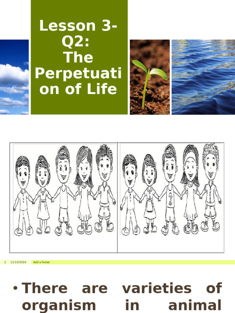 Lesson 3 Q2 THE PERPETUATION OF LIFE | PDF | Reproduction | Egg