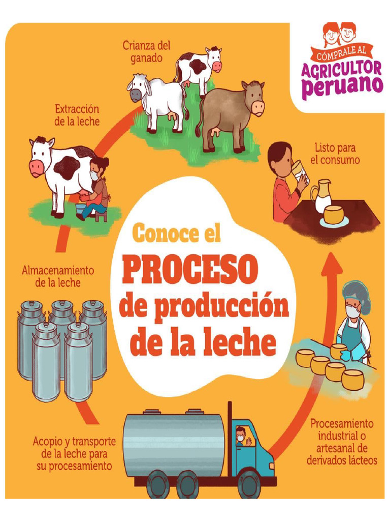 Circuito Productivo De La Leche Pdf