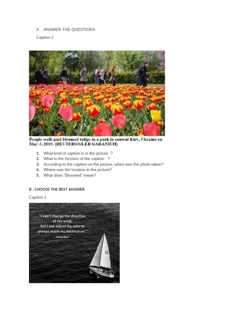 Latihan Caption | PDF