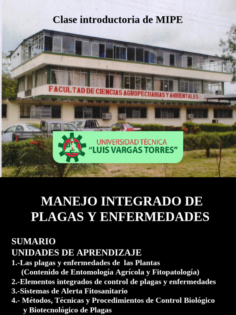 Manejo Integrado de Plagas y Enfermedades | PDF | Plaga (organismo ...