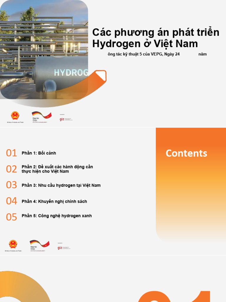 3 VN GIZ 202404 VEPG Hydrogen-Options | PDF