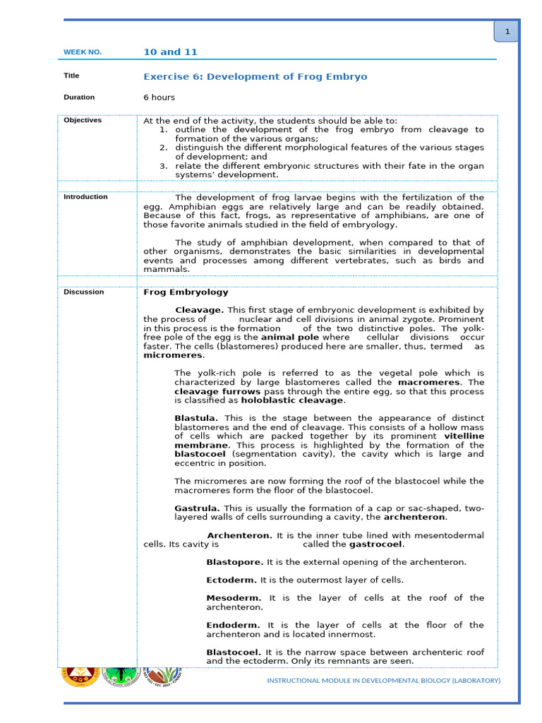 DevBioLab_Exercise No. 6 | PDF | Egg | Reproduction