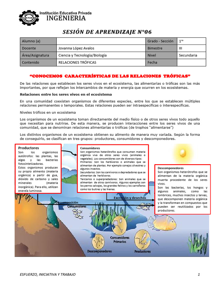 S6 - Relaciones Troficas | PDF | Red alimentaria | Ecosistema