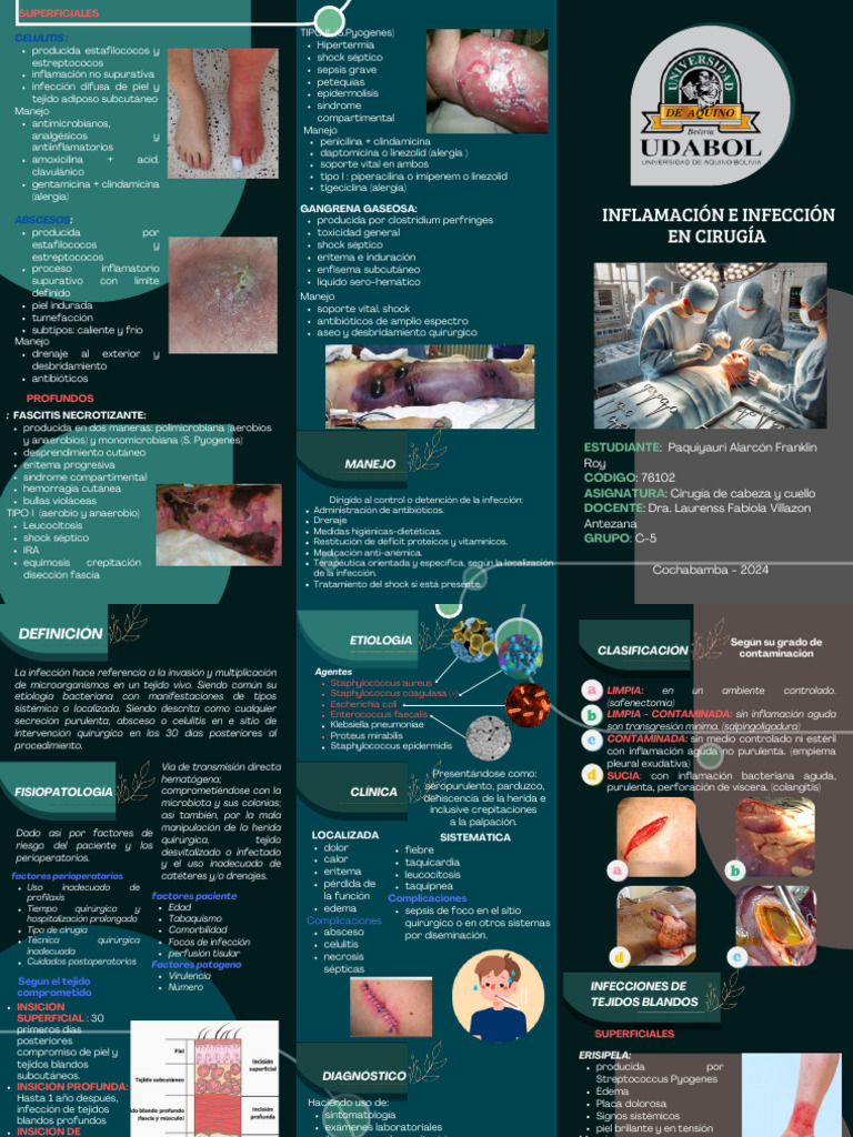 Paquiyauri Alarcón Franklin Roy Tríptico de CX de Cabeza y Cuello | PDF | Especialidades Medicas ...