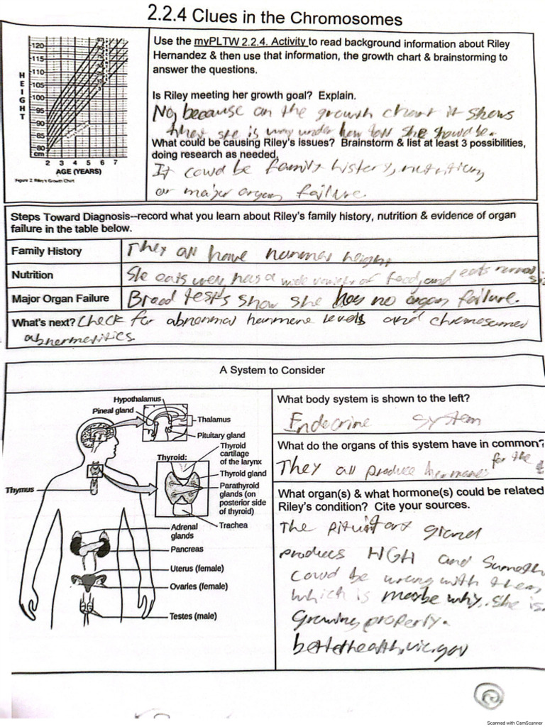 PLTW | PDF
