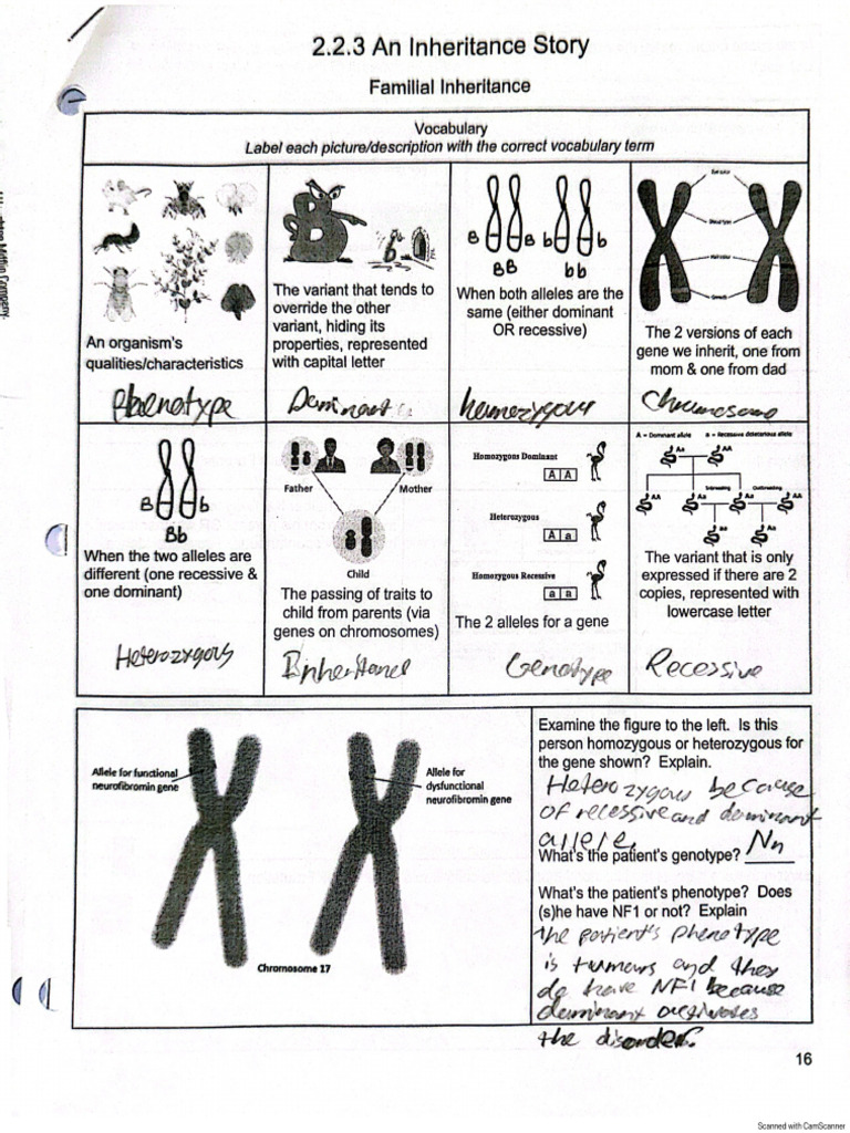 PLTW | PDF