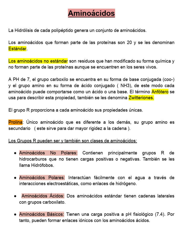 Guía de Estudio Bioca L - Parcial - Segunda Parte | PDF | Aminoácidos ...