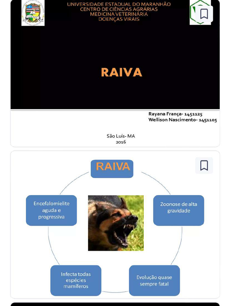 Raiva | PDF