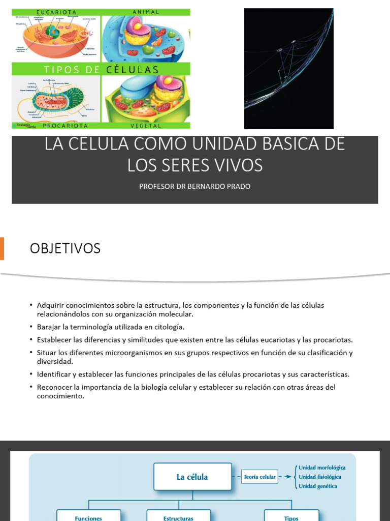 Clase 3 La Celula | PDF | Citoplasma | Biología Celular)