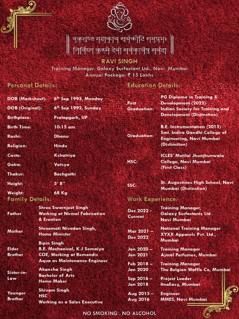 Profile Ravi Singh | PDF