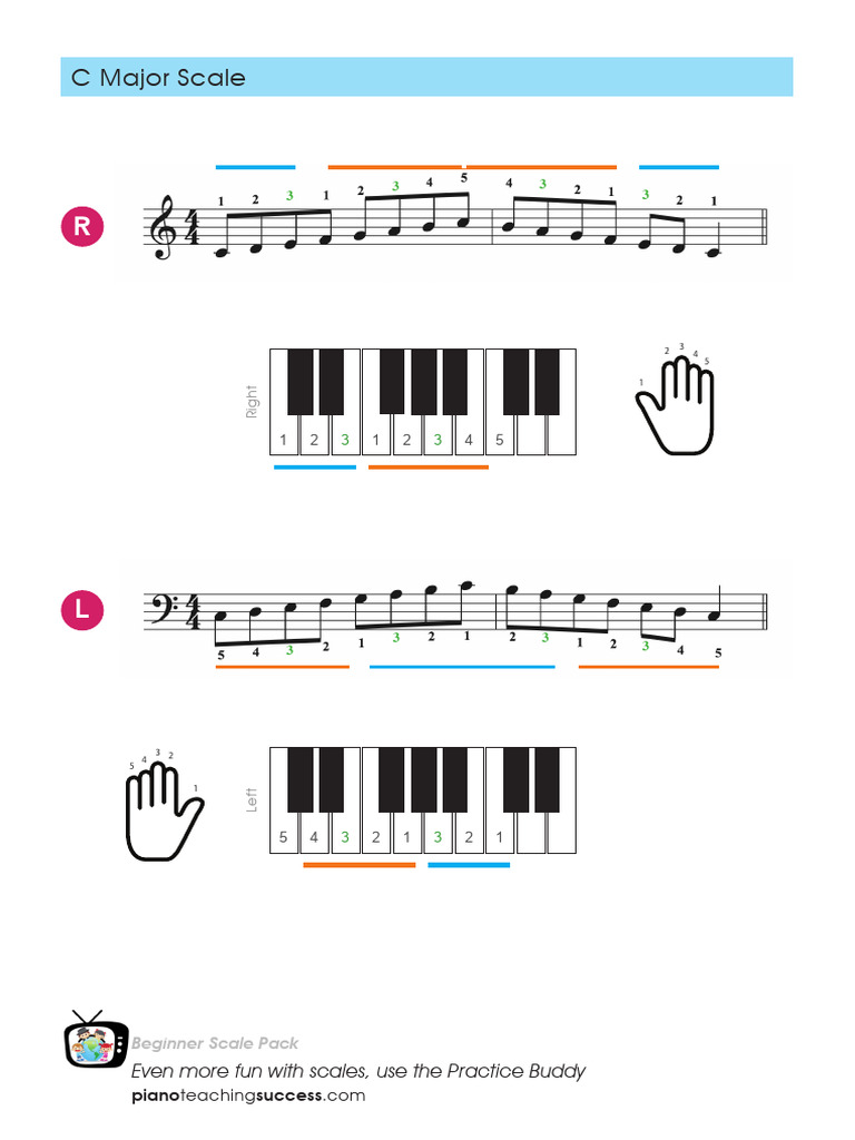 Beginner C Major Scale Kit v1 | PDF | Music Theory | Musical Scales
