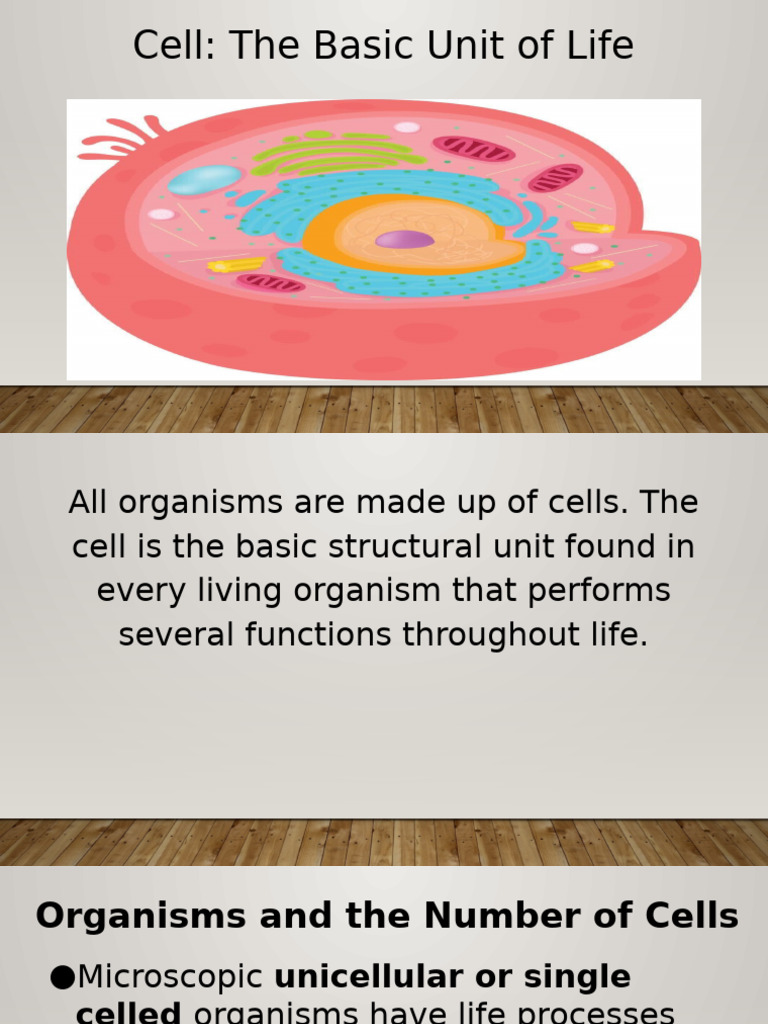 Cell The Basic Unit of Life | PDF | Cell (Biology) | Organelle
