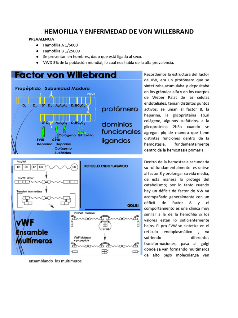 3 - Hemofilia y Enfermedad de VW | PDF | Hemofilia | Medicina CLINICA